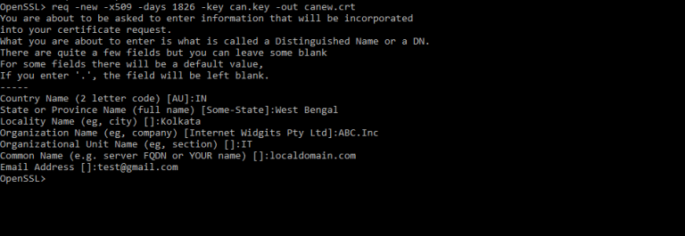 How to create self-signed SSL certificate on Windows OpenSSL