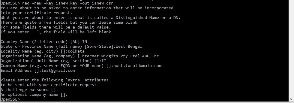 How to create self-signed SSL certificate on Windows OpenSSL